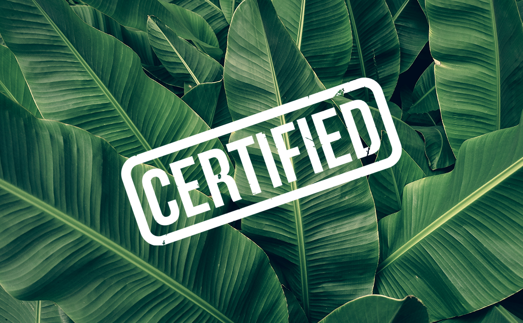 Labels and certifications in sustainable fashion: Which ones to trust ...